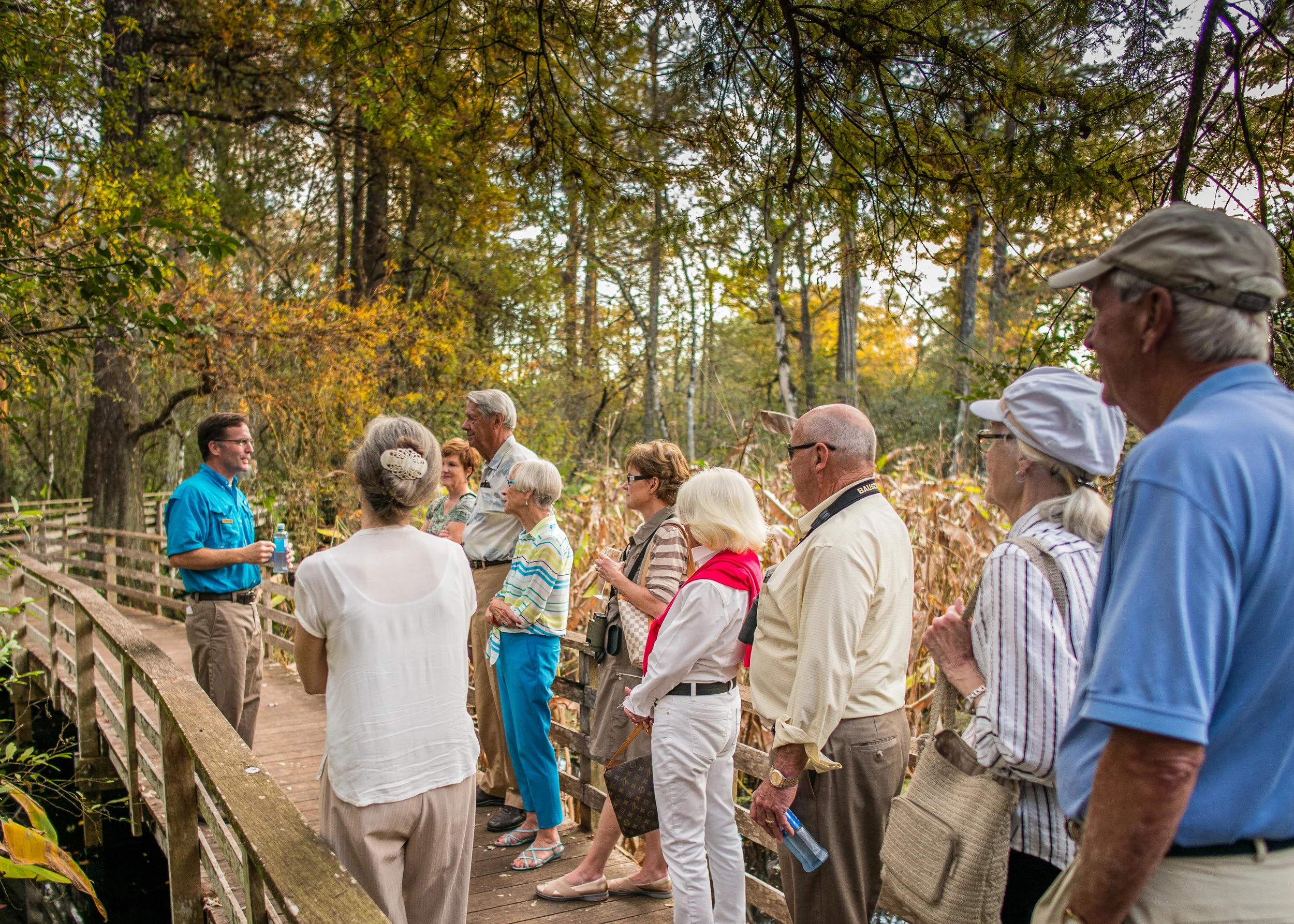 Corkscrew Swamp Sanctuary — Old-Growth Forest Network