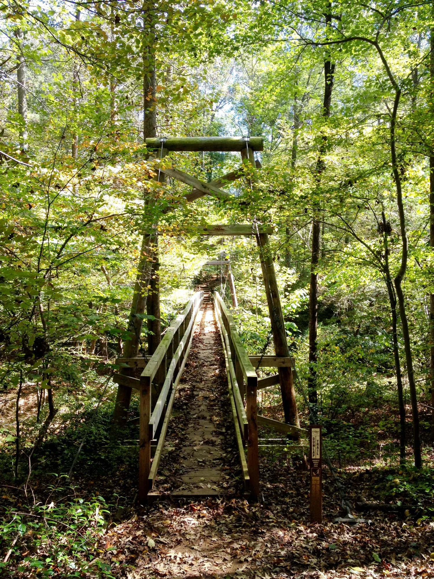 Chicopee Woods Nature Preserve — Old-Growth Forest Network