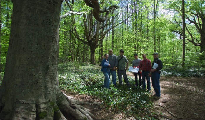 Original Forest of Atlanta - Dekalb County — Old-Growth Forest Network