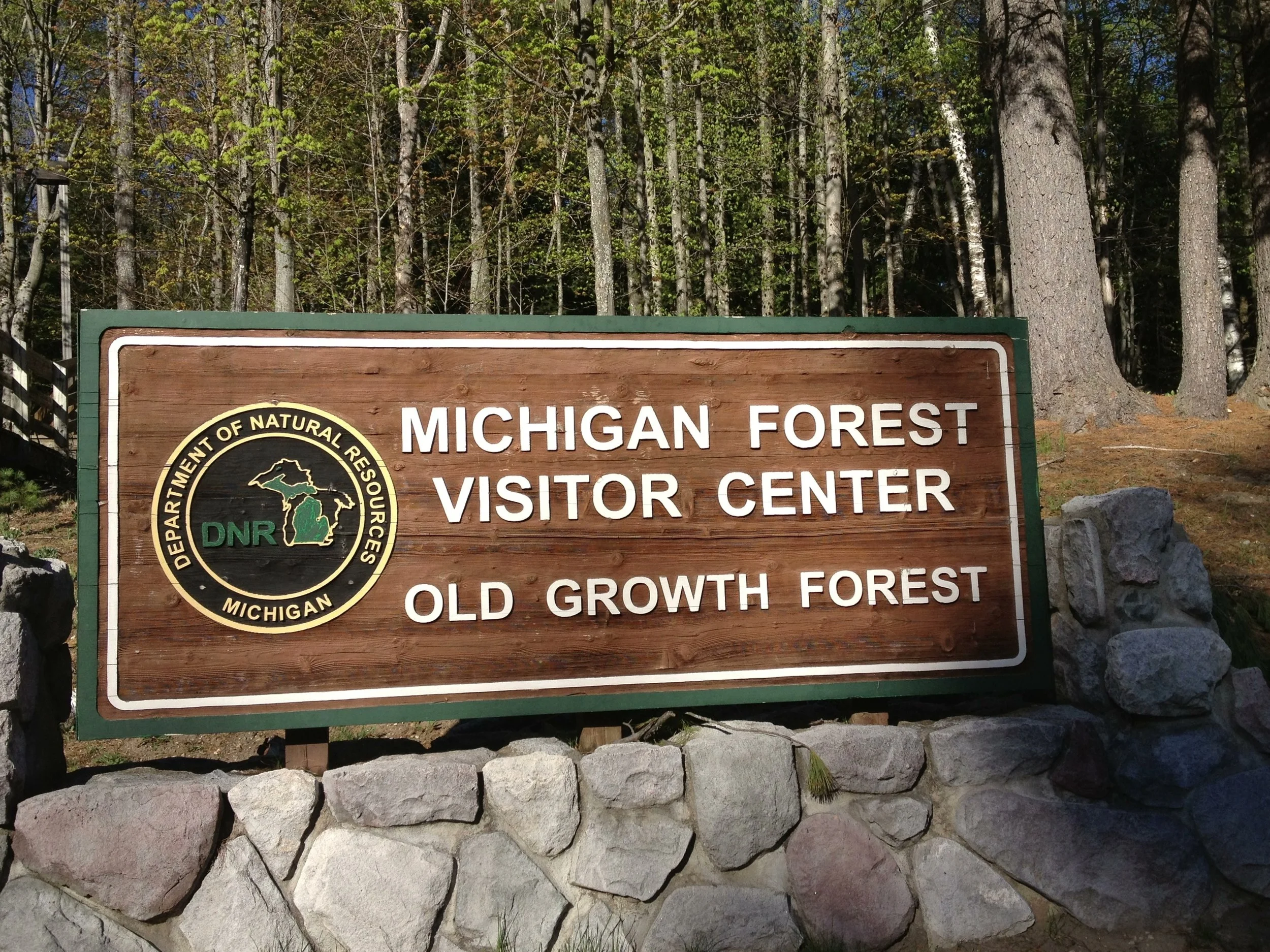 Hartwick Pines State Park — Old-Growth Forest Network