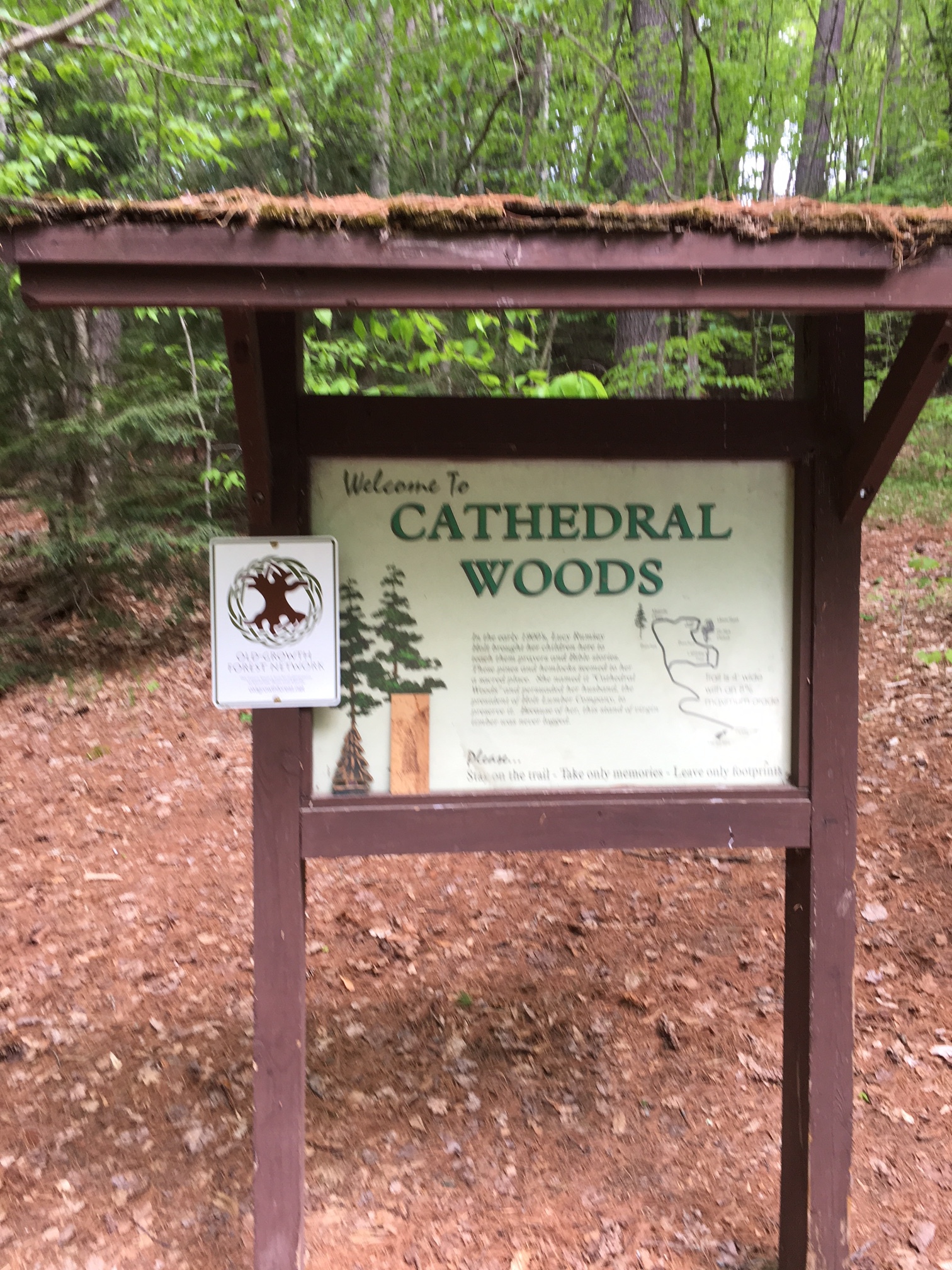 Cathedral Pines - Chequamegon-Nicolet National Forest — Old-Growth ...