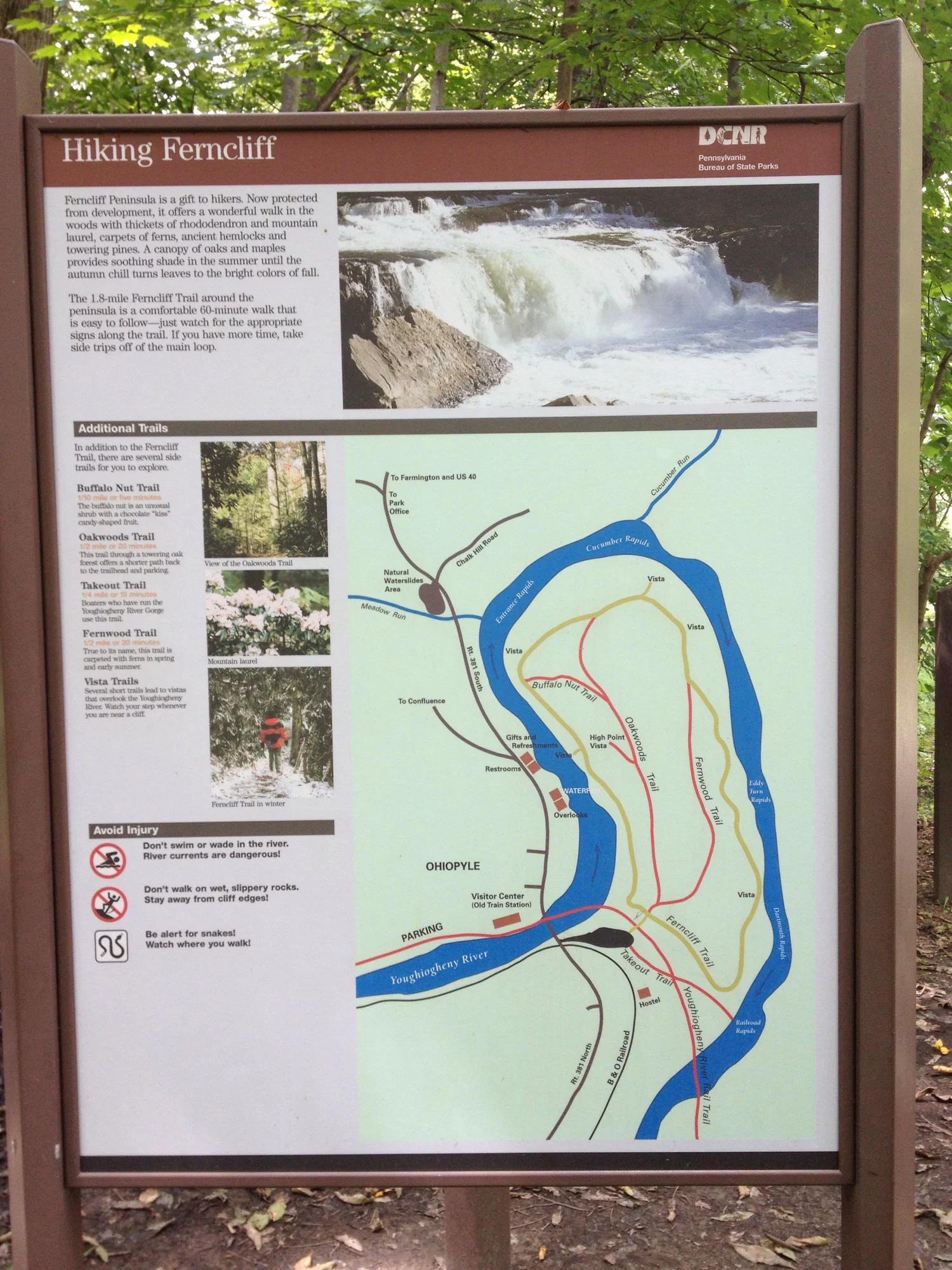 Ferncliff Peninsula Natural Area - Ohiopyle State Park — Old-Growth ...