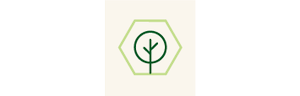 Forest Designations — Old-Growth Forest Network
