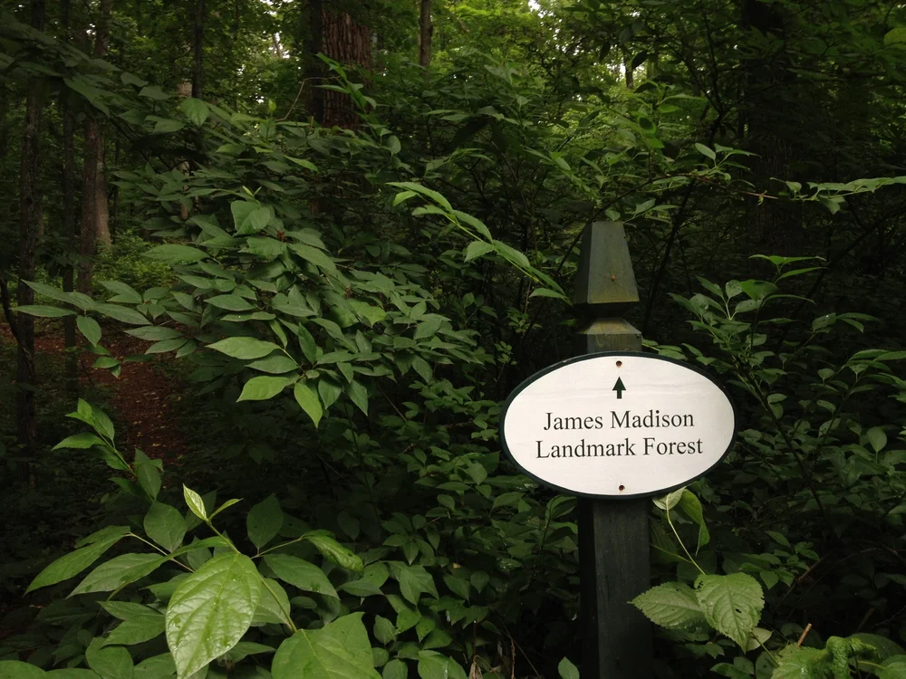 James Madison Landmark Forest — Old-Growth Forest Network