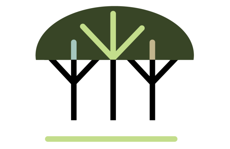 Forest Designations — Old-Growth Forest Network