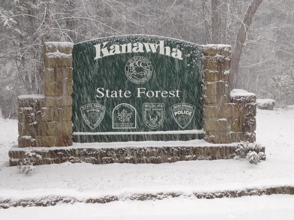Eastern Watershed Tracts of Kanawha State Forest — Old-Growth Forest ...