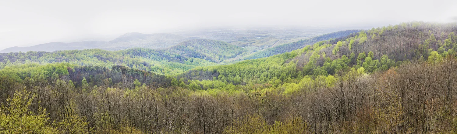 Forest Designations — Old-Growth Forest Network