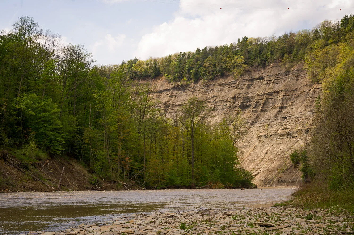 Zoar Valley Unique Area — Old-Growth Forest Network