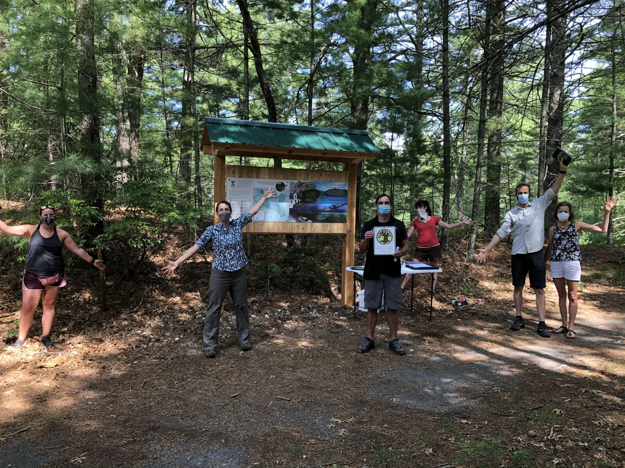 Muddy Pond Wilderness Preserve — Old-Growth Forest Network