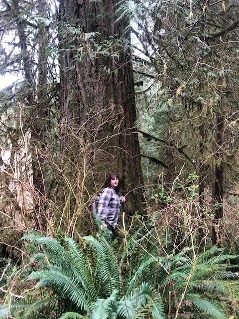 Drift Creek Wilderness - Siuslaw National Forest — Old-Growth Forest ...