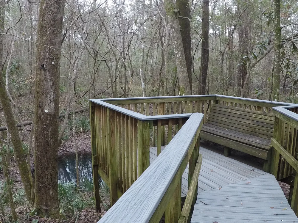 Legacy Property - Edward Ball Wakulla Springs State Park — Old-Growth ...