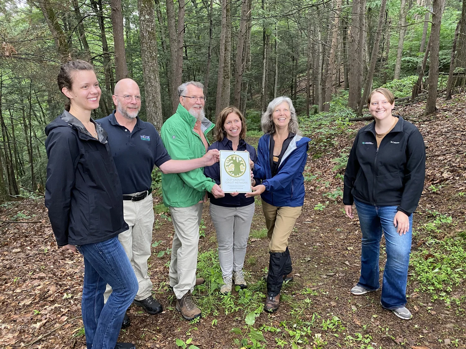 Jakey Hollow Natural Area - Weiser State Forest — Old-Growth Forest Network