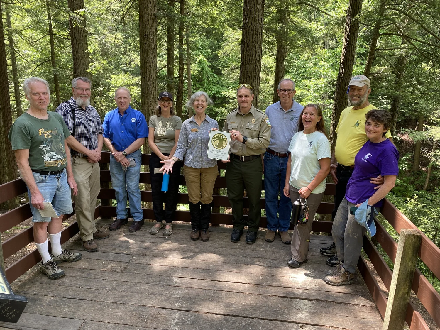 Fall Brook Natural Area - Salt Springs State Park — Old-Growth Forest ...