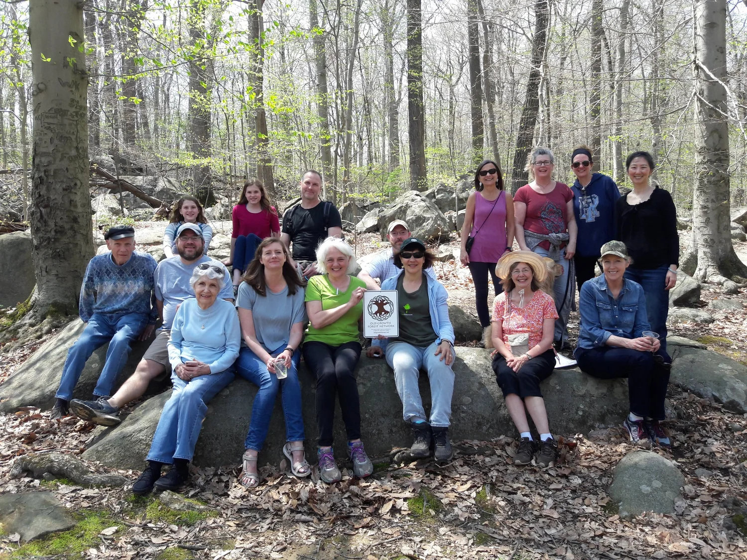 Arden Woods, Sherwood Forest, Ardentown Forest — Old-Growth Forest Network
