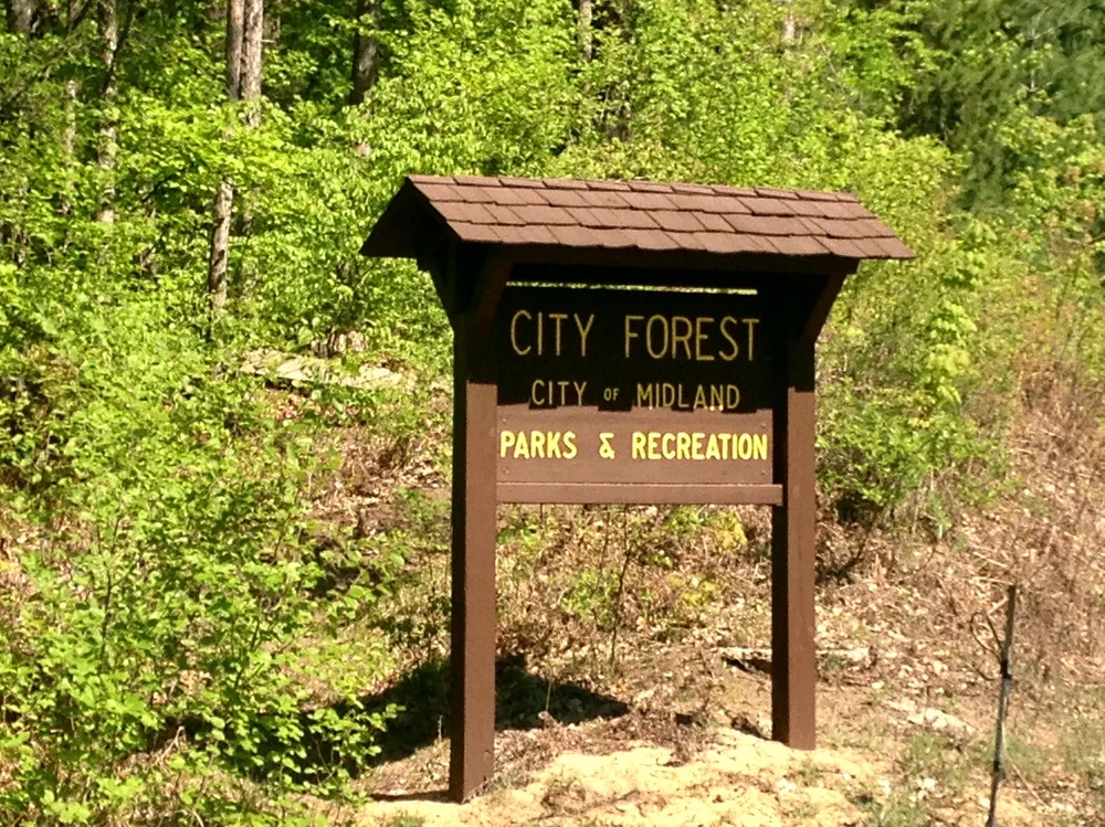 Midland City Forest Park — Old-Growth Forest Network