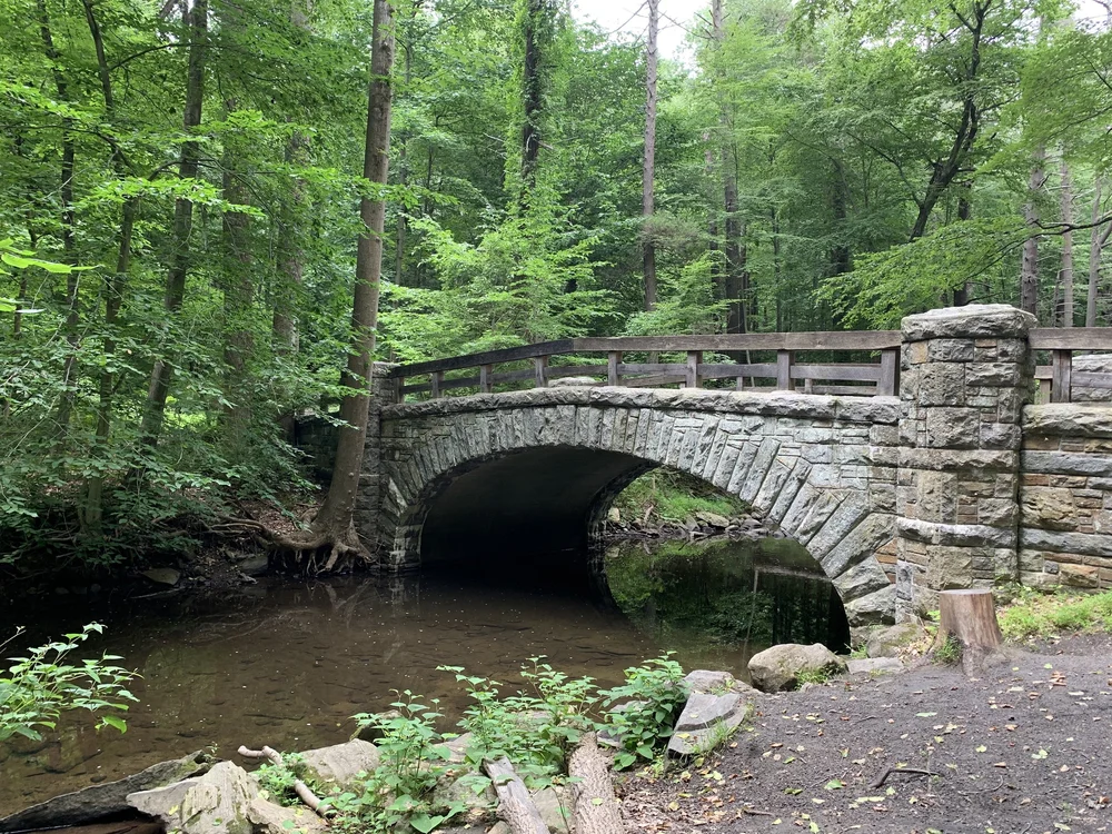 Rockefeller State Park Preserve — Old-Growth Forest Network