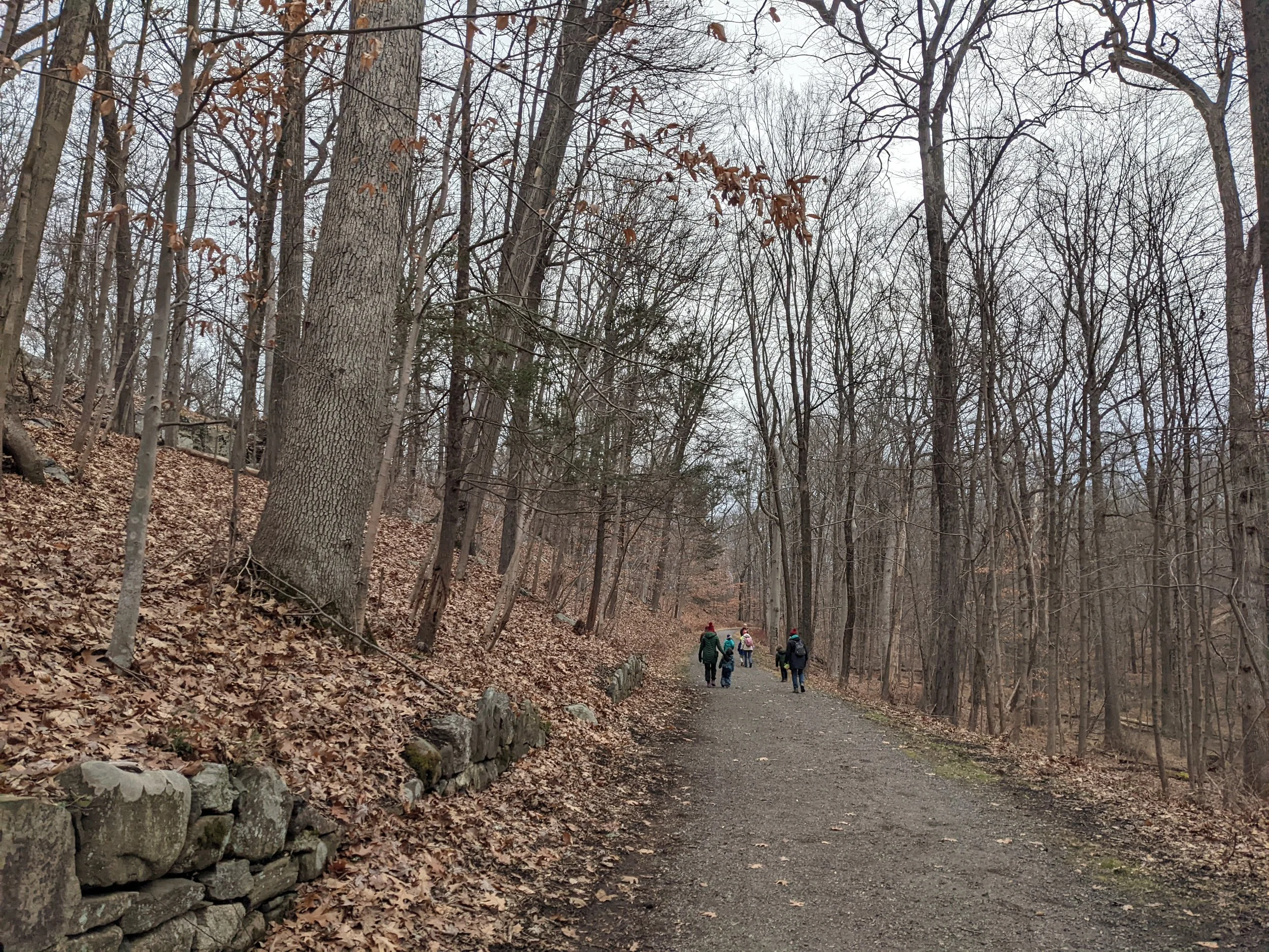 Rockefeller State Park Preserve — Old-Growth Forest Network