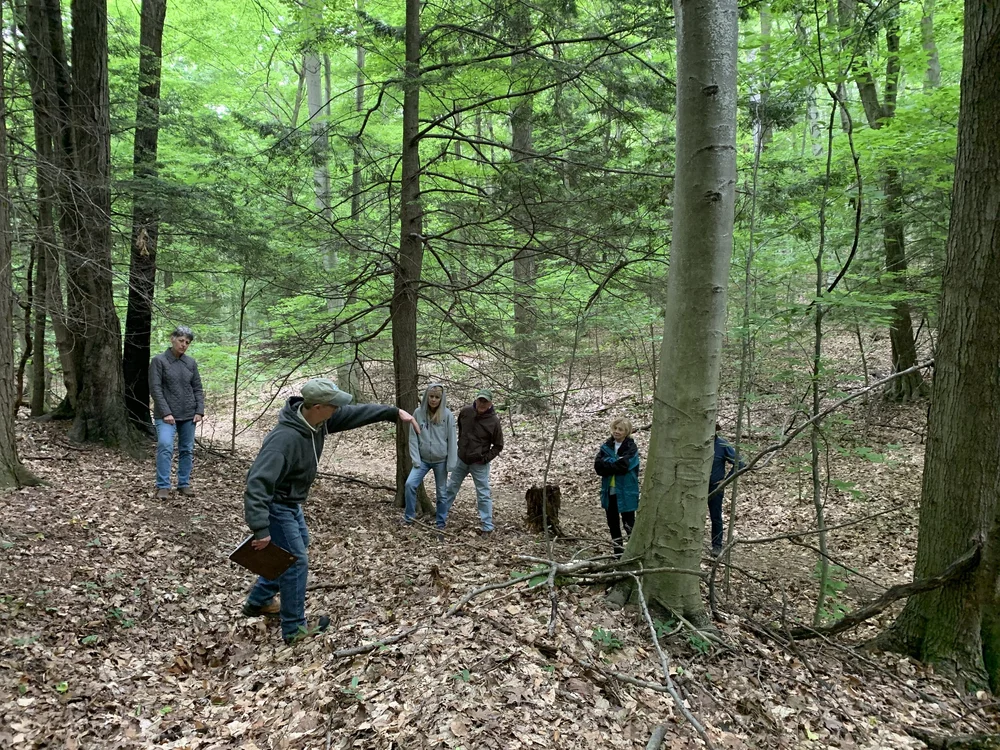 Otto Nature Preserve — Old-Growth Forest Network