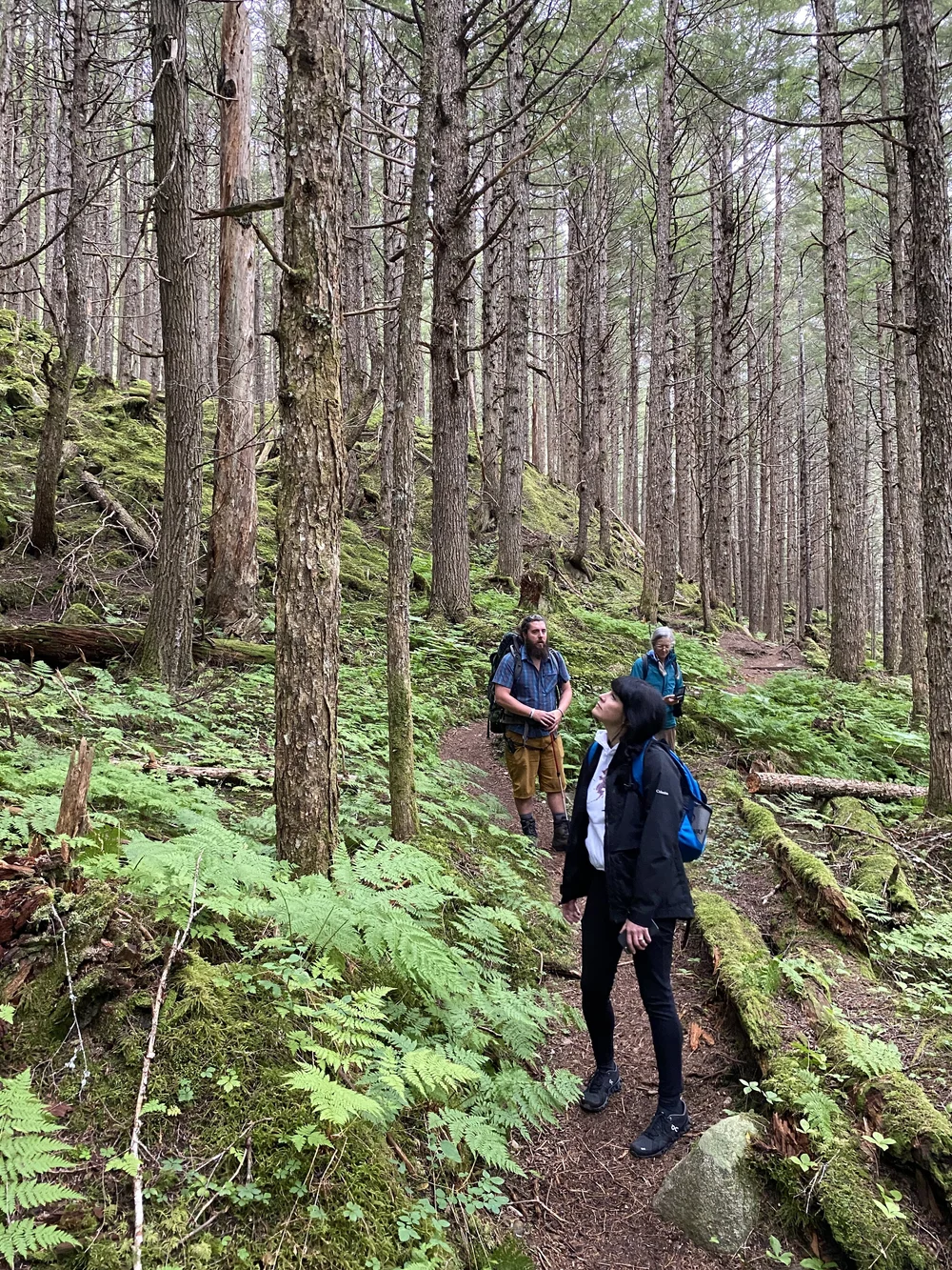 Denver Glacier Trail- Tongass National Forest — Old-Growth Forest Network