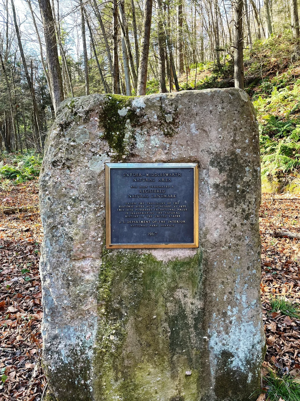 Snyder-Middleswarth Natural Area — Old-Growth Forest Network