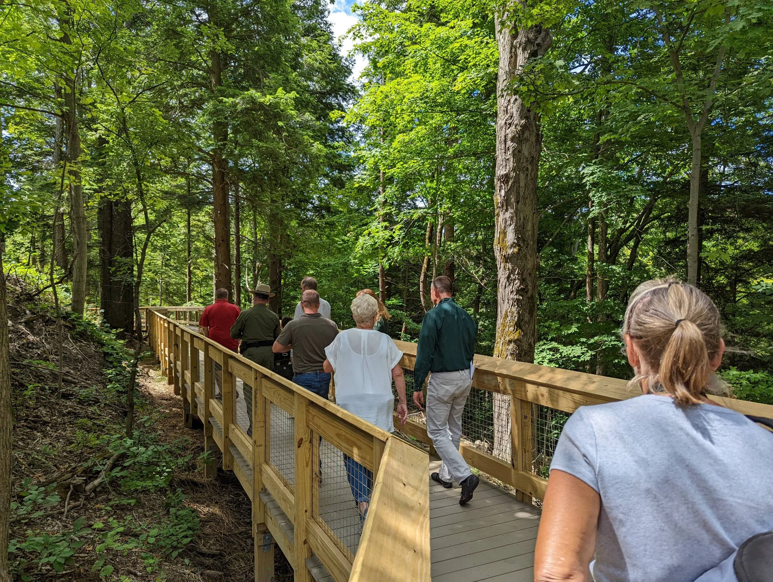 Carpenter Falls Unique Area — Old-Growth Forest Network