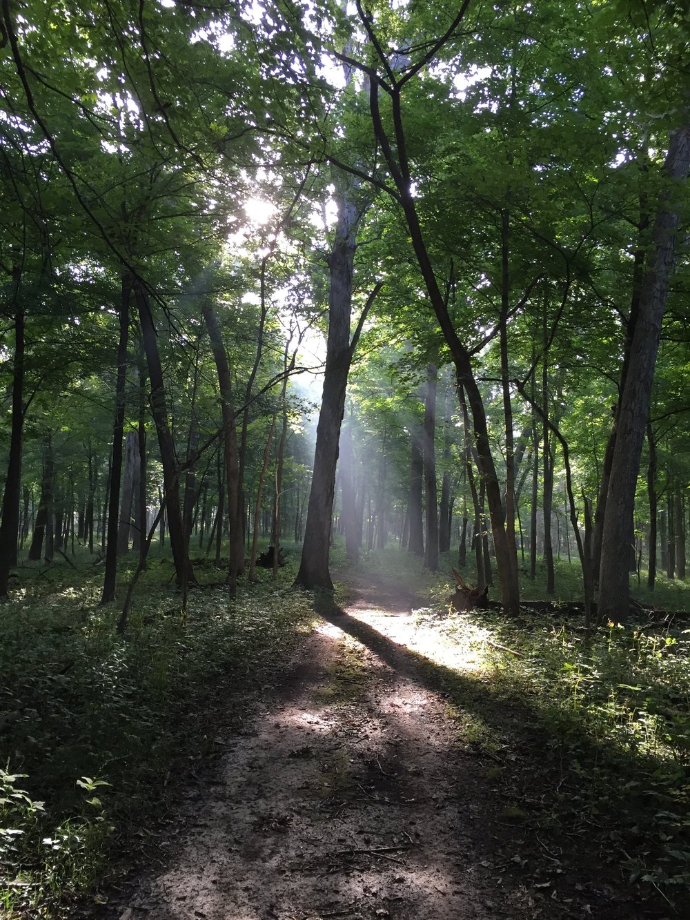 Allerton Park - University of Illinois — Old-Growth Forest Network