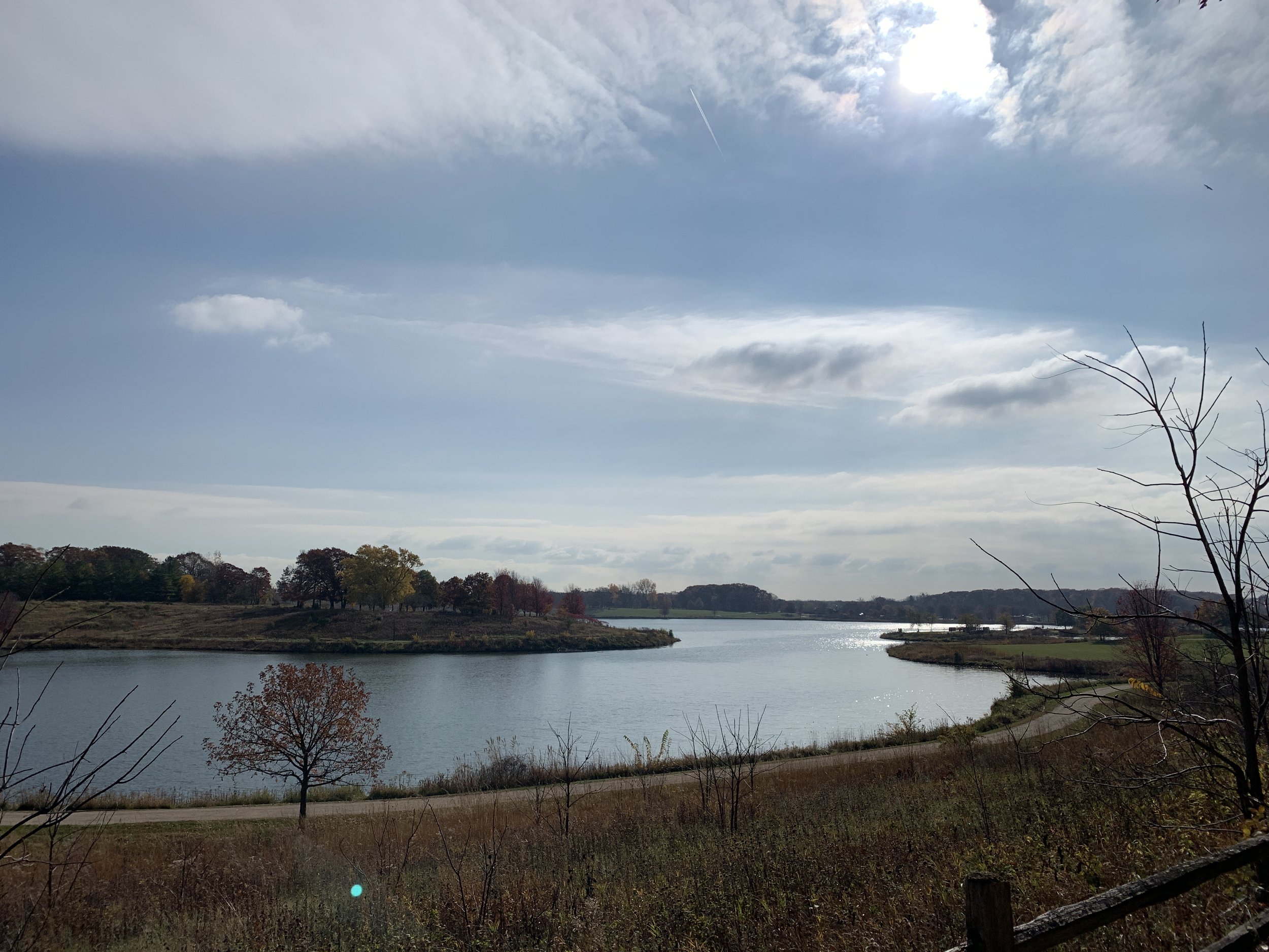 St. Francis Woods- Independence Grove Forest Preserve — Old-Growth ...