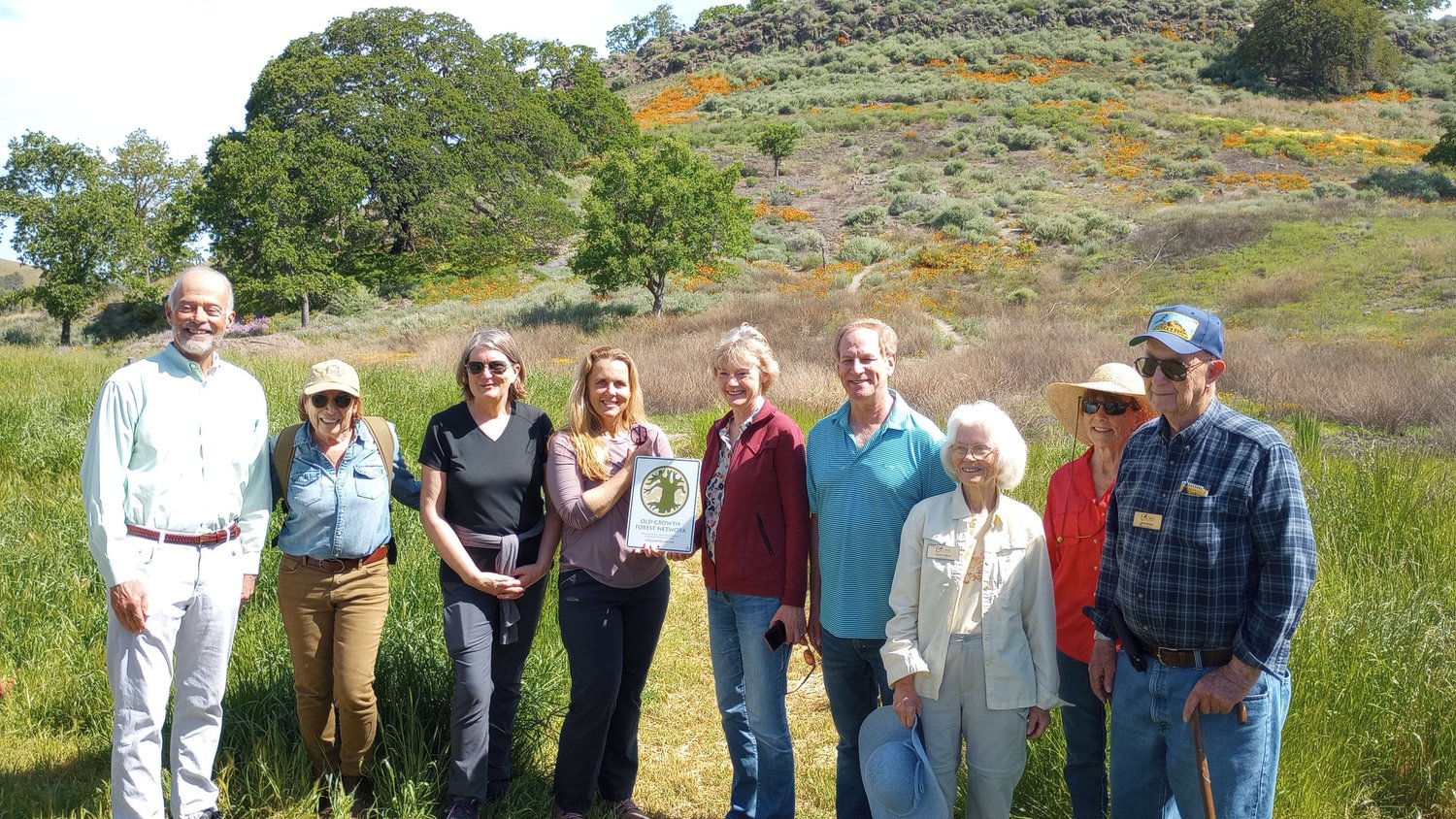 Walnut Creek Open Space – Shell Ridge — Old-Growth Forest Network