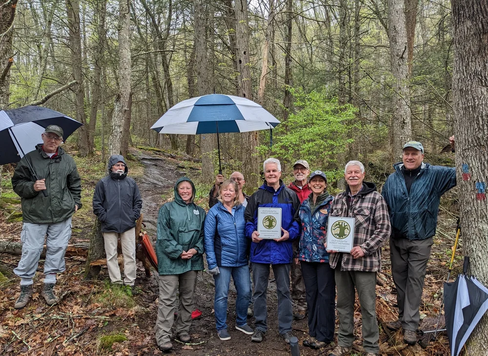 Webster Preserve/Echo Ridge — Old-Growth Forest Network