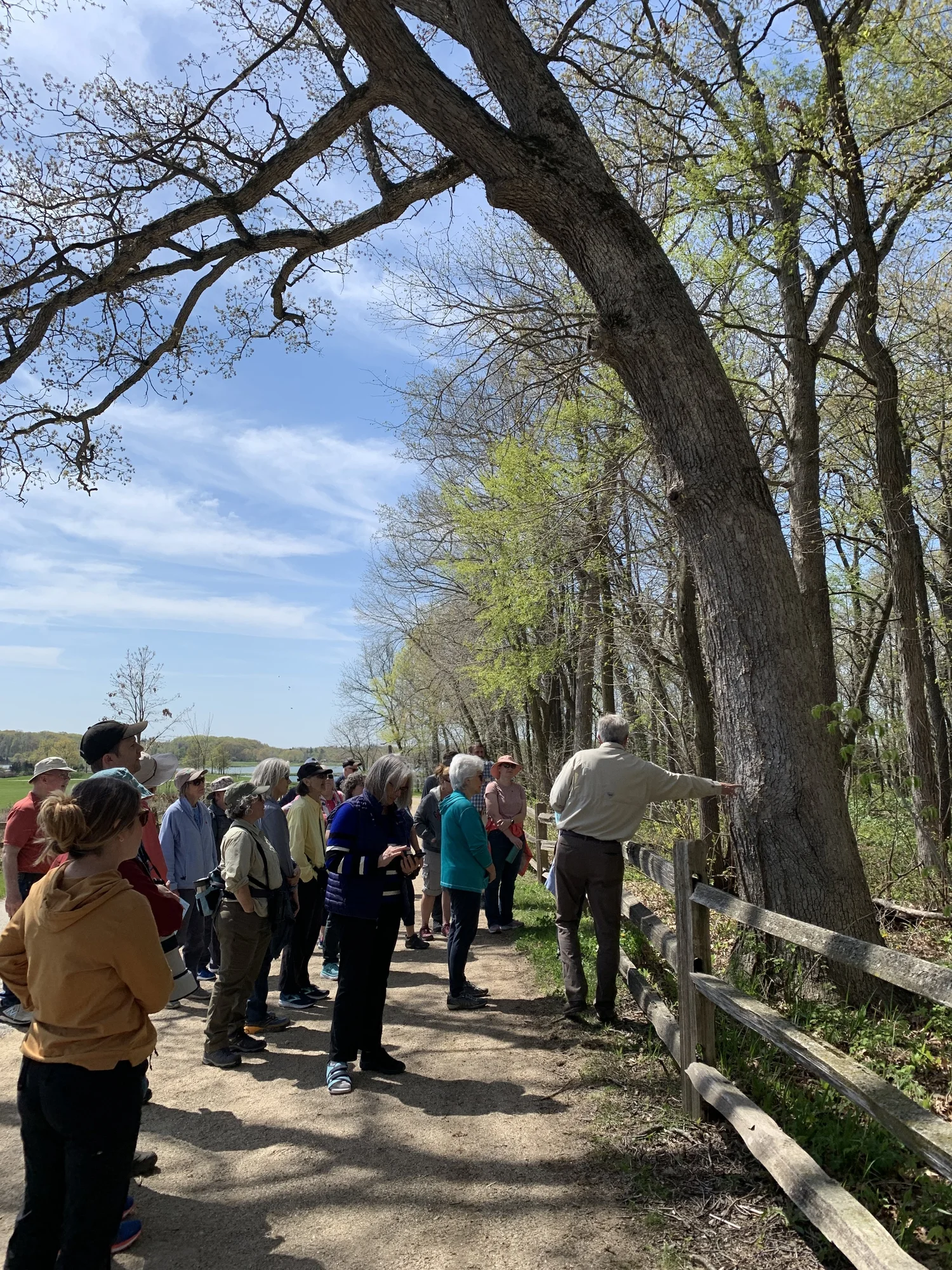 St. Francis Woods- Independence Grove Forest Preserve — Old-Growth ...