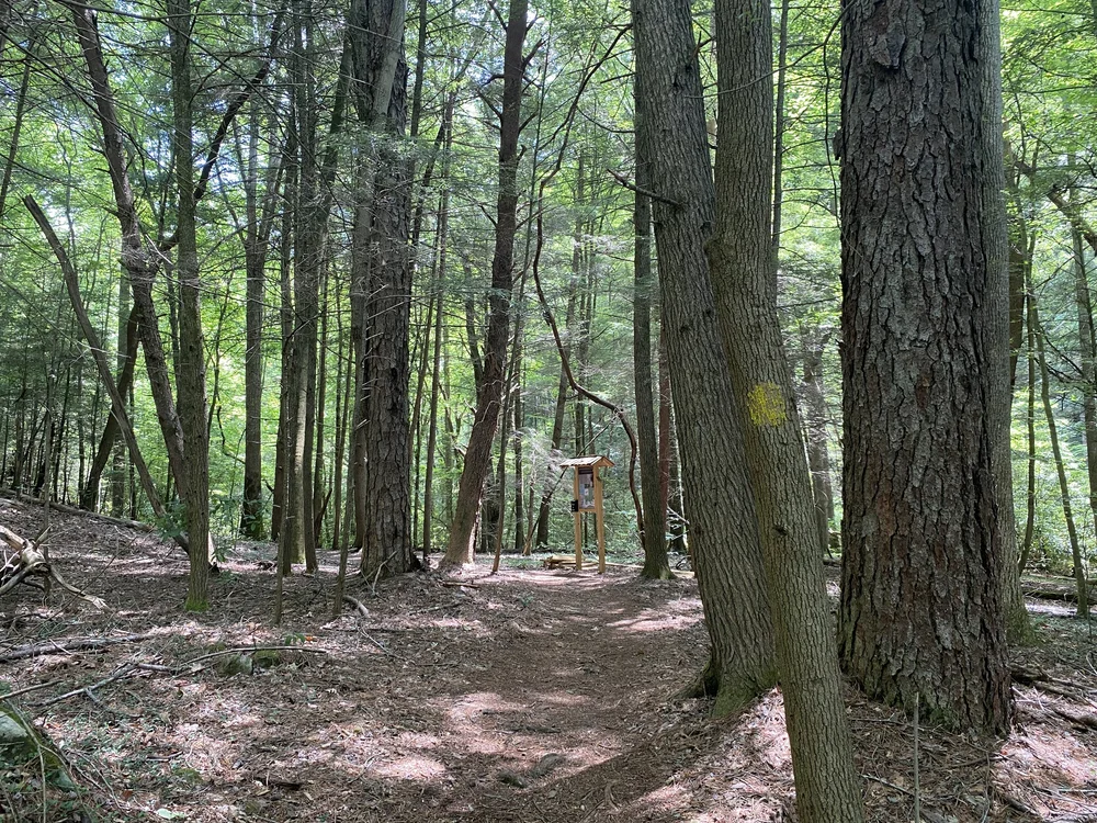 Blanton Forest State Nature Preserve — Old-Growth Forest Network