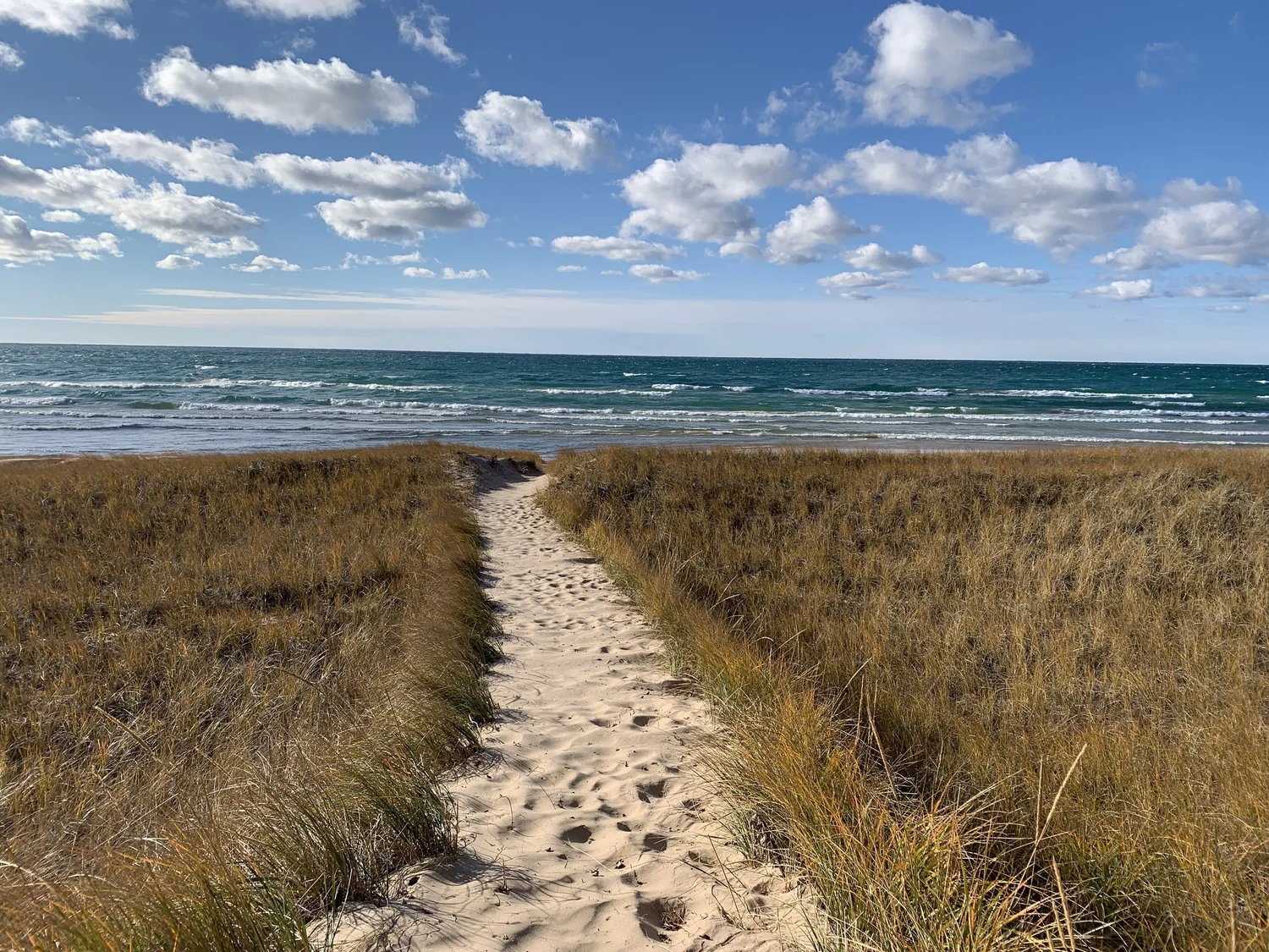 Flower Creek Dunes Nature Preserve — Old-Growth Forest Network
