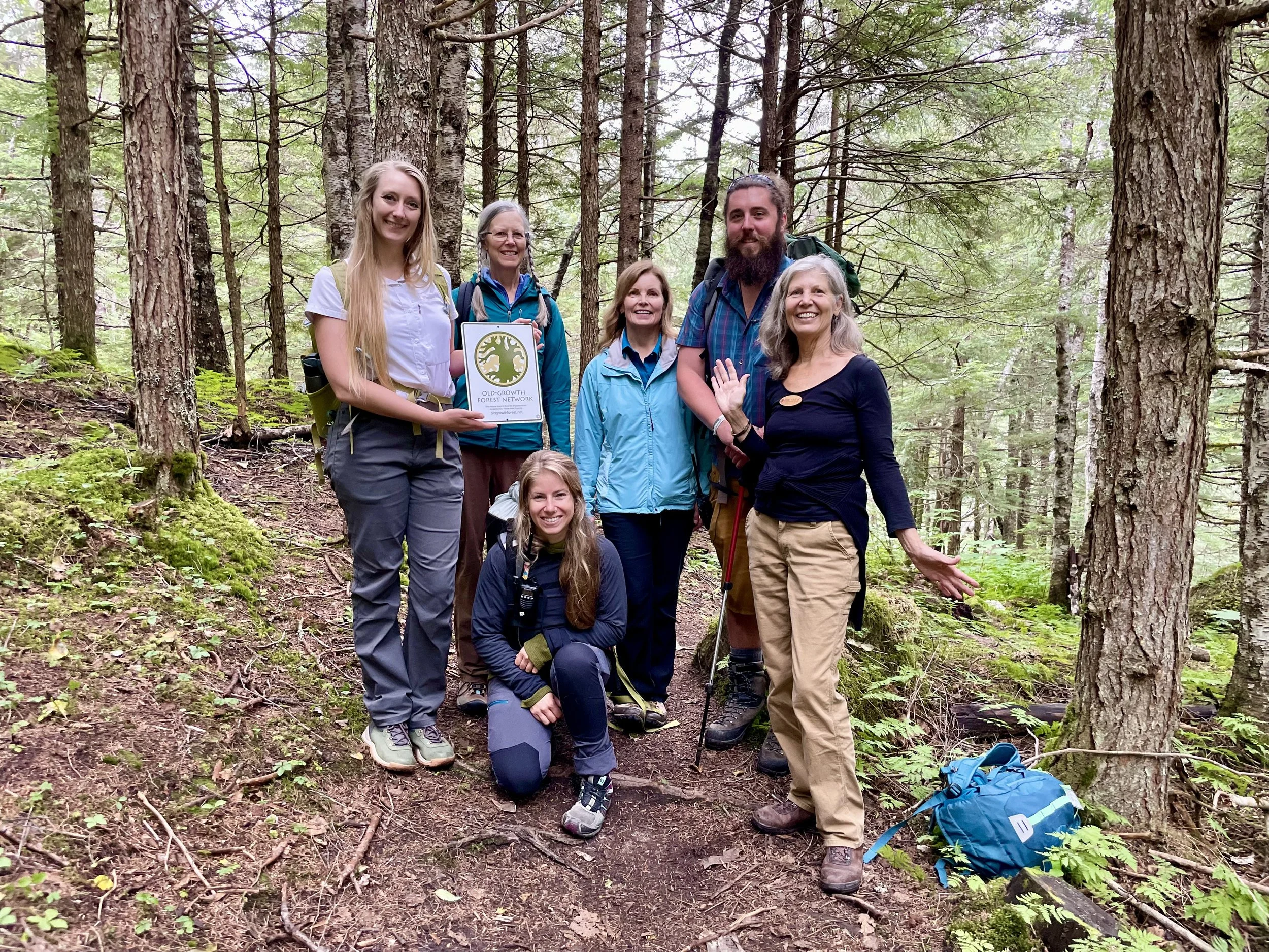 Denver Glacier Trail- Tongass National Forest — Old-Growth Forest Network