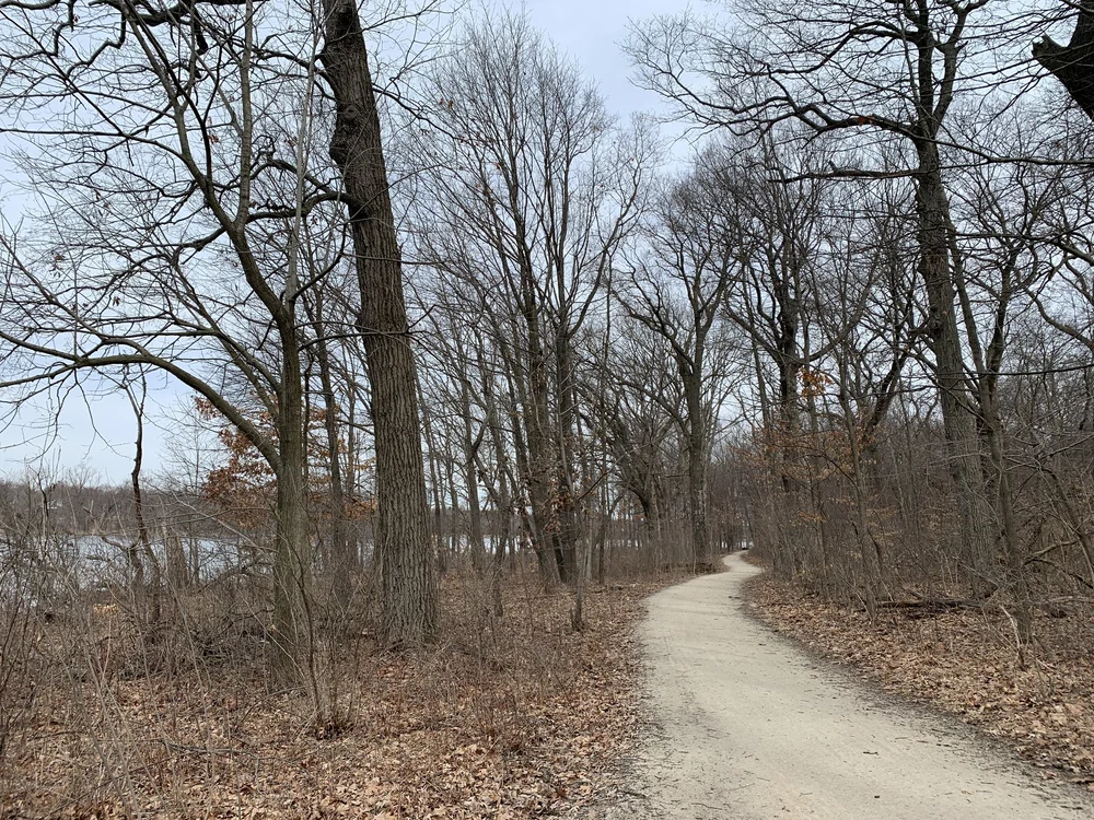 Norris Woods Nature Preserve — Old-Growth Forest Network