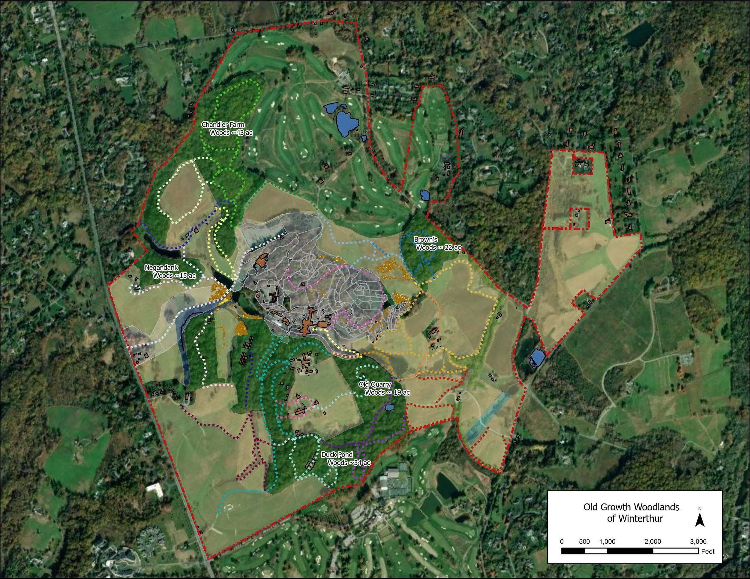 Winterthur Old-Growth Woods — Old-Growth Forest Network