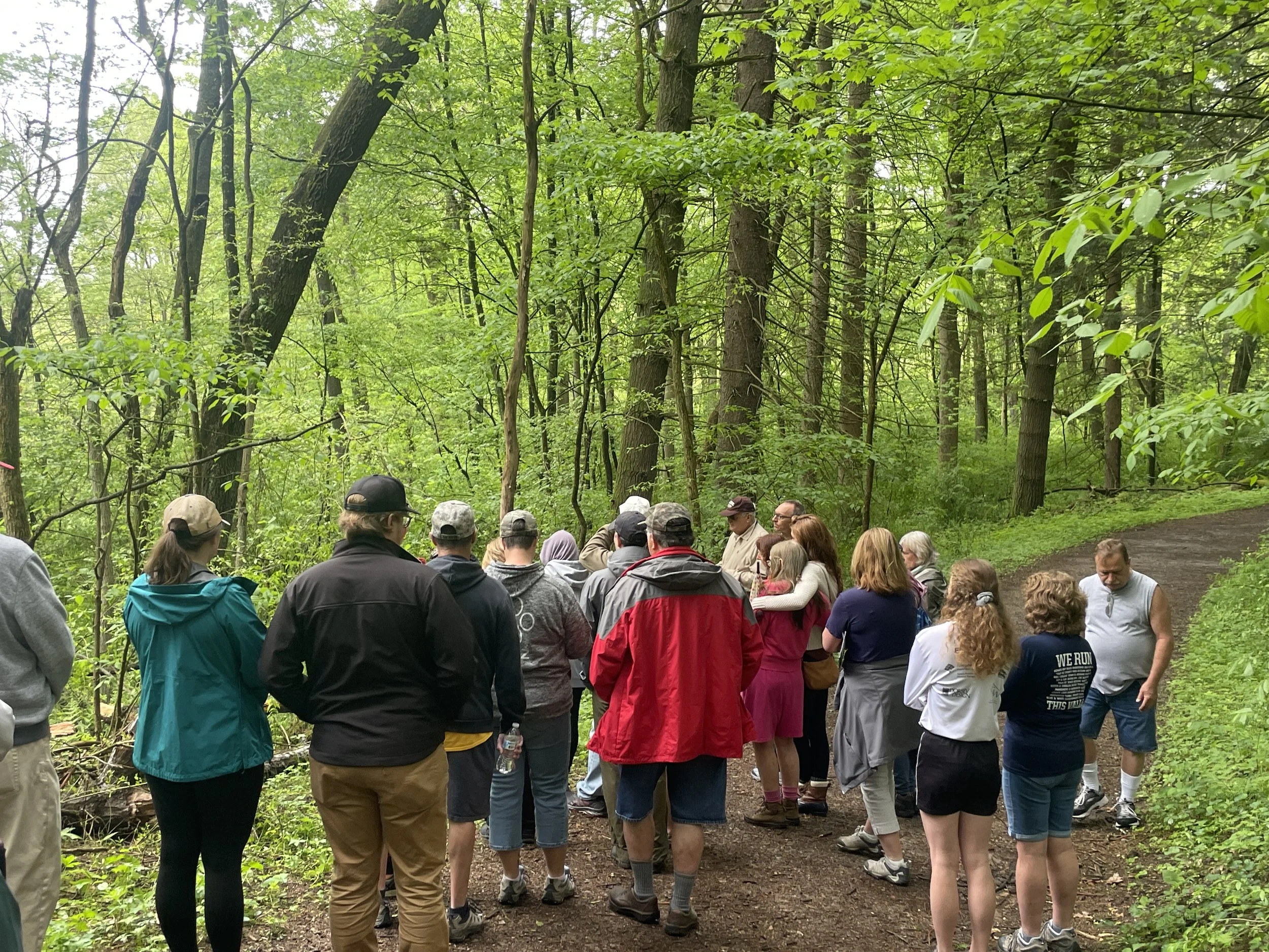 Bushy Run Battlefield — Old-Growth Forest Network