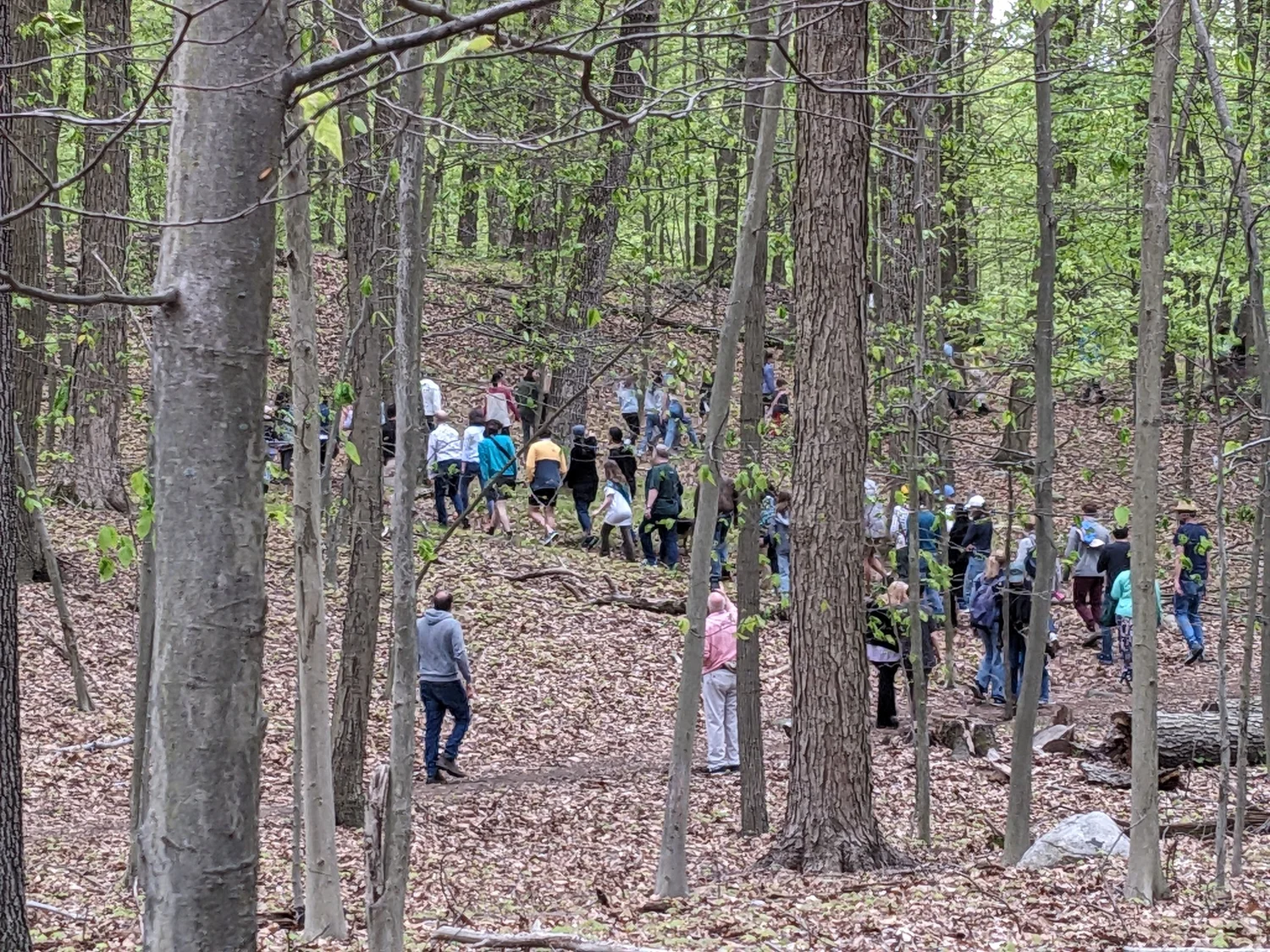 Community Forests — Old-Growth Forest Network