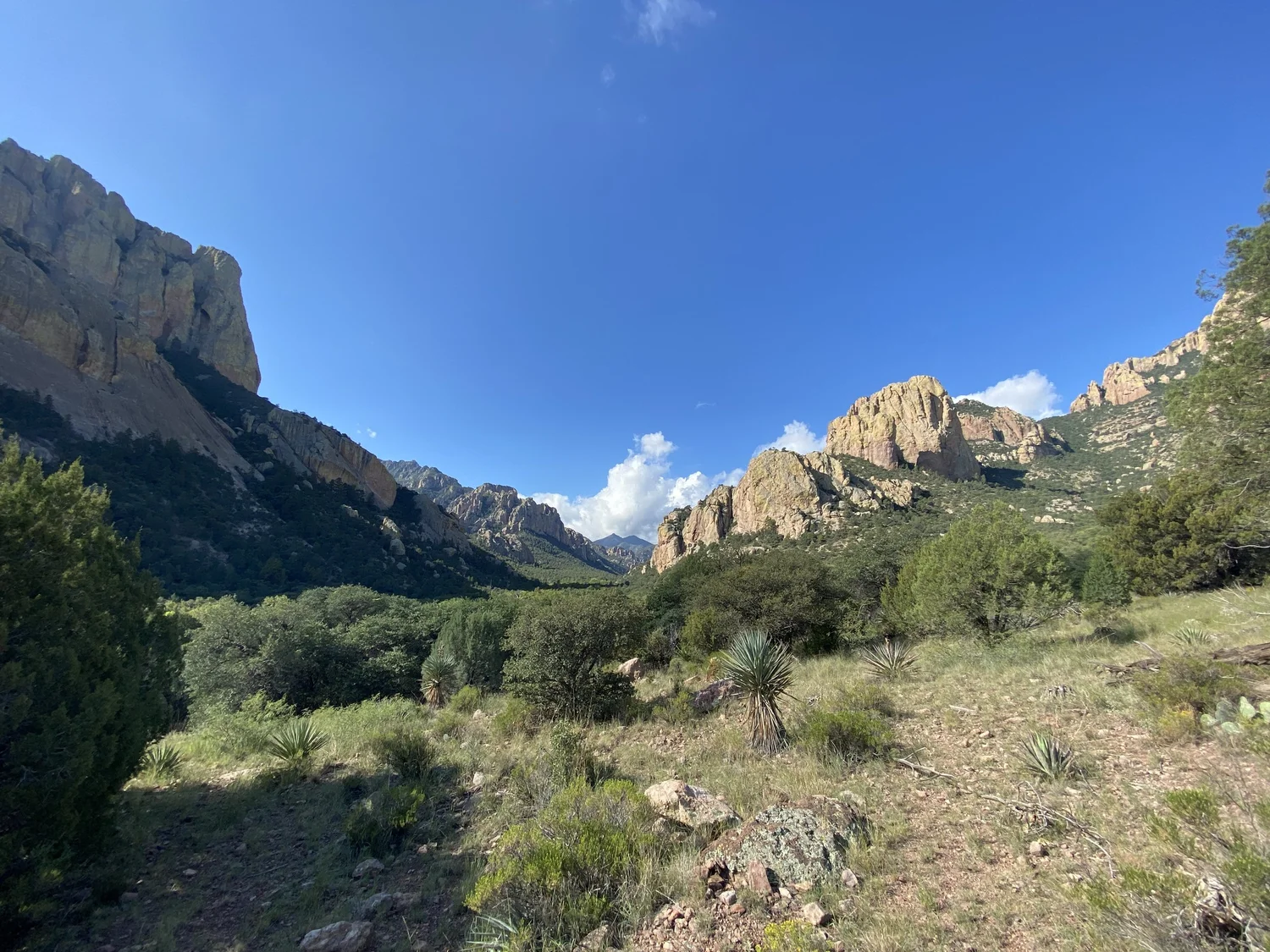 Cave Creek Canyon - Chiricuhua Wilderness - Coronado National Forest ...