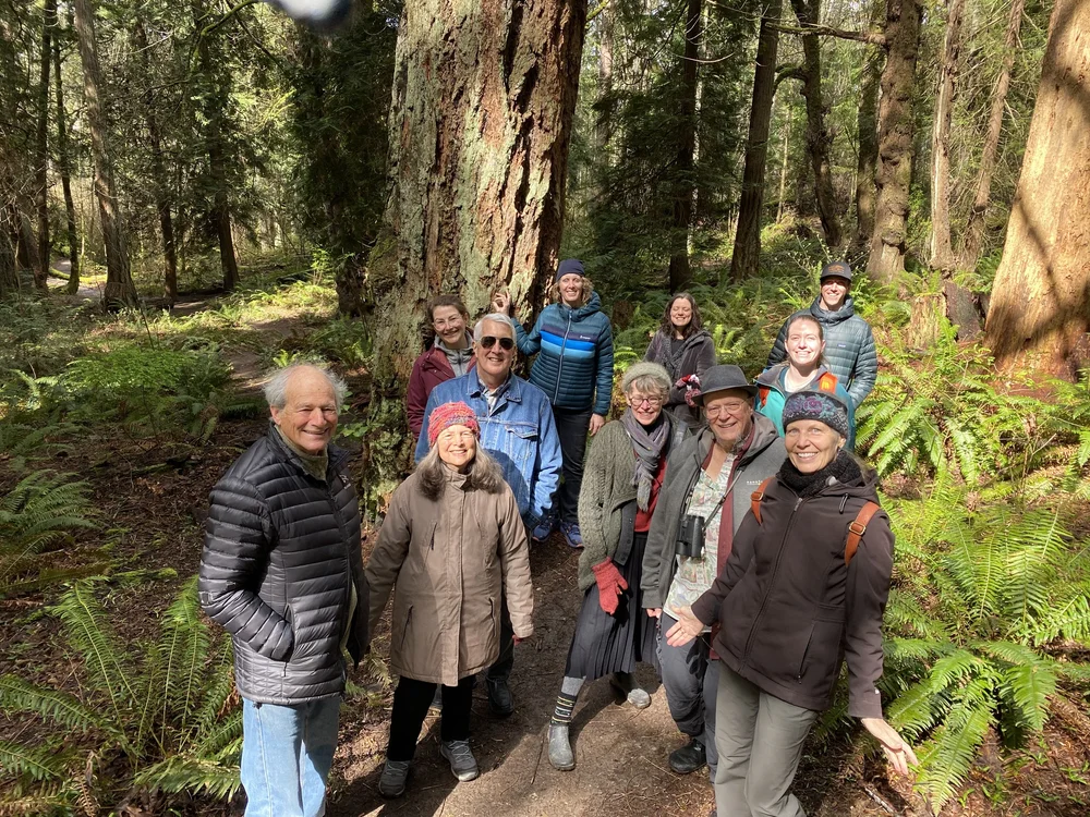 The Magnificent Forest — Old-Growth Forest Network