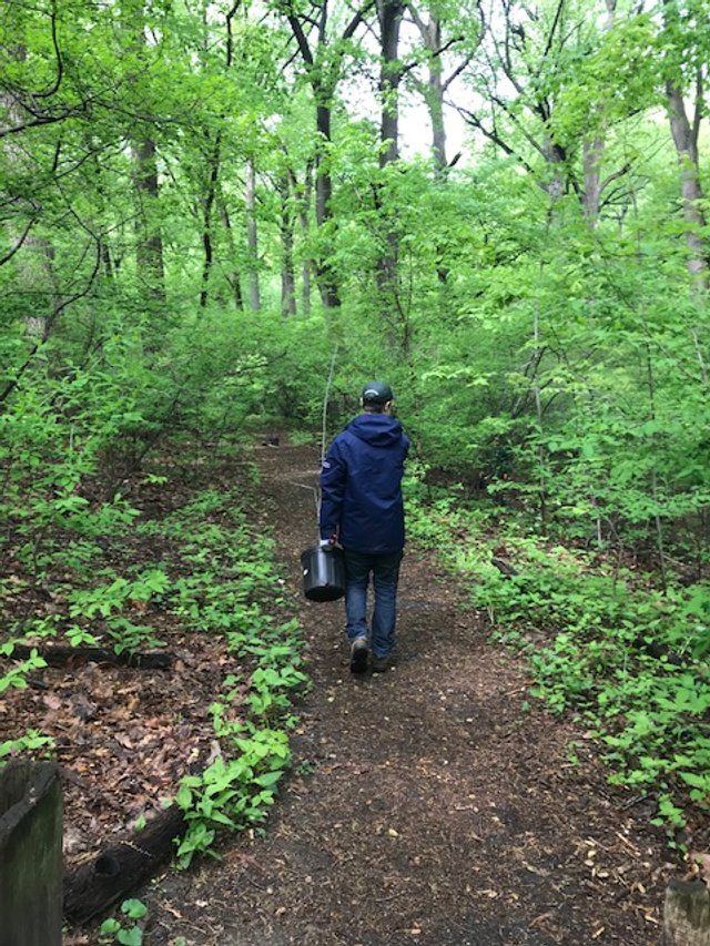 Shorakapok Preserve - Inwood Hill Park — Old-Growth Forest Network