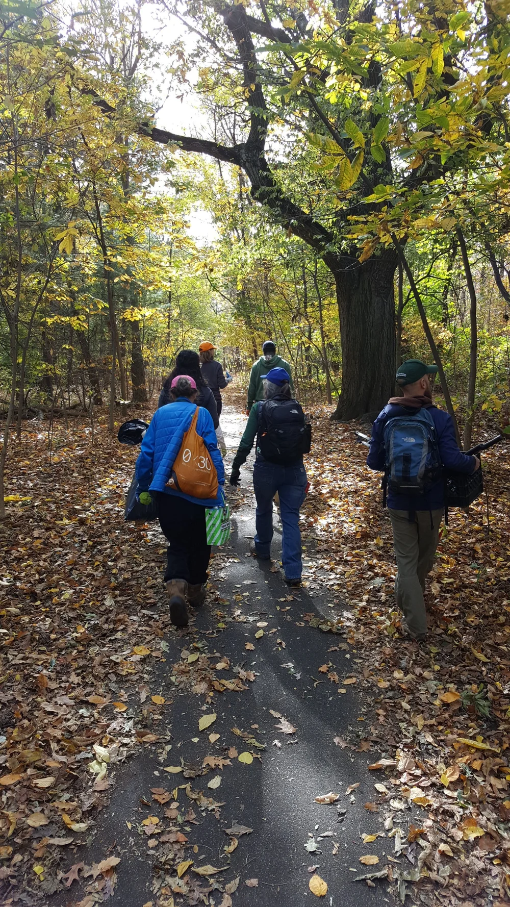 Shorakapok Preserve - Inwood Hill Park — Old-Growth Forest Network