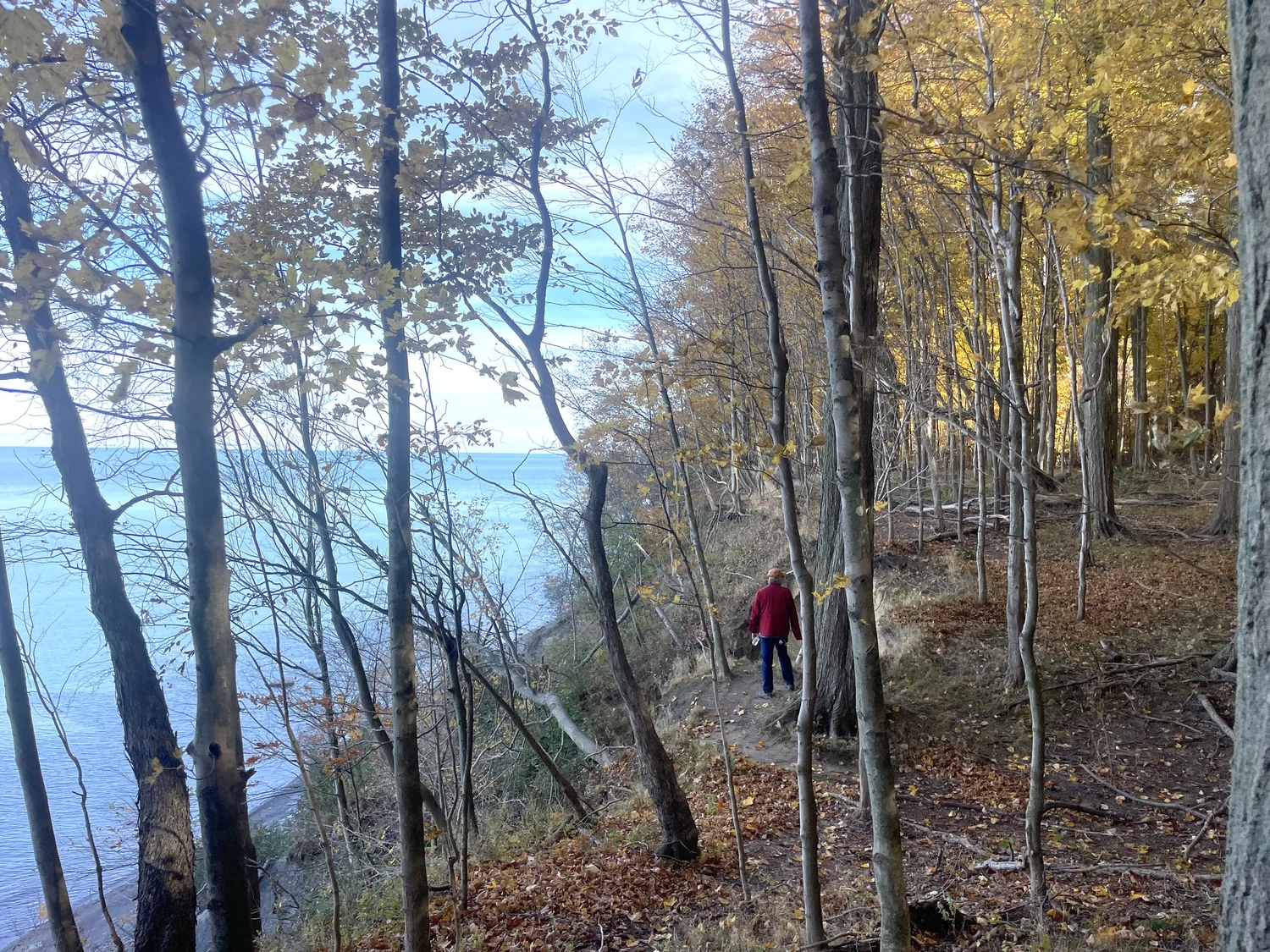 Erie Bluffs State Park — Old-Growth Forest Network