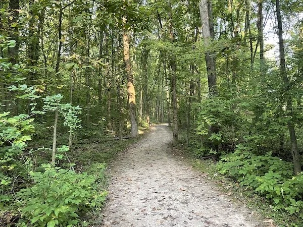 Ohio Adds Two New Forests — Old-Growth Forest Network