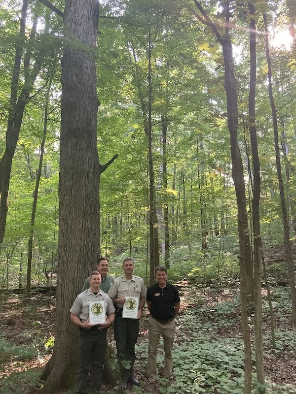 Ohio Adds Two New Forests — Old-Growth Forest Network