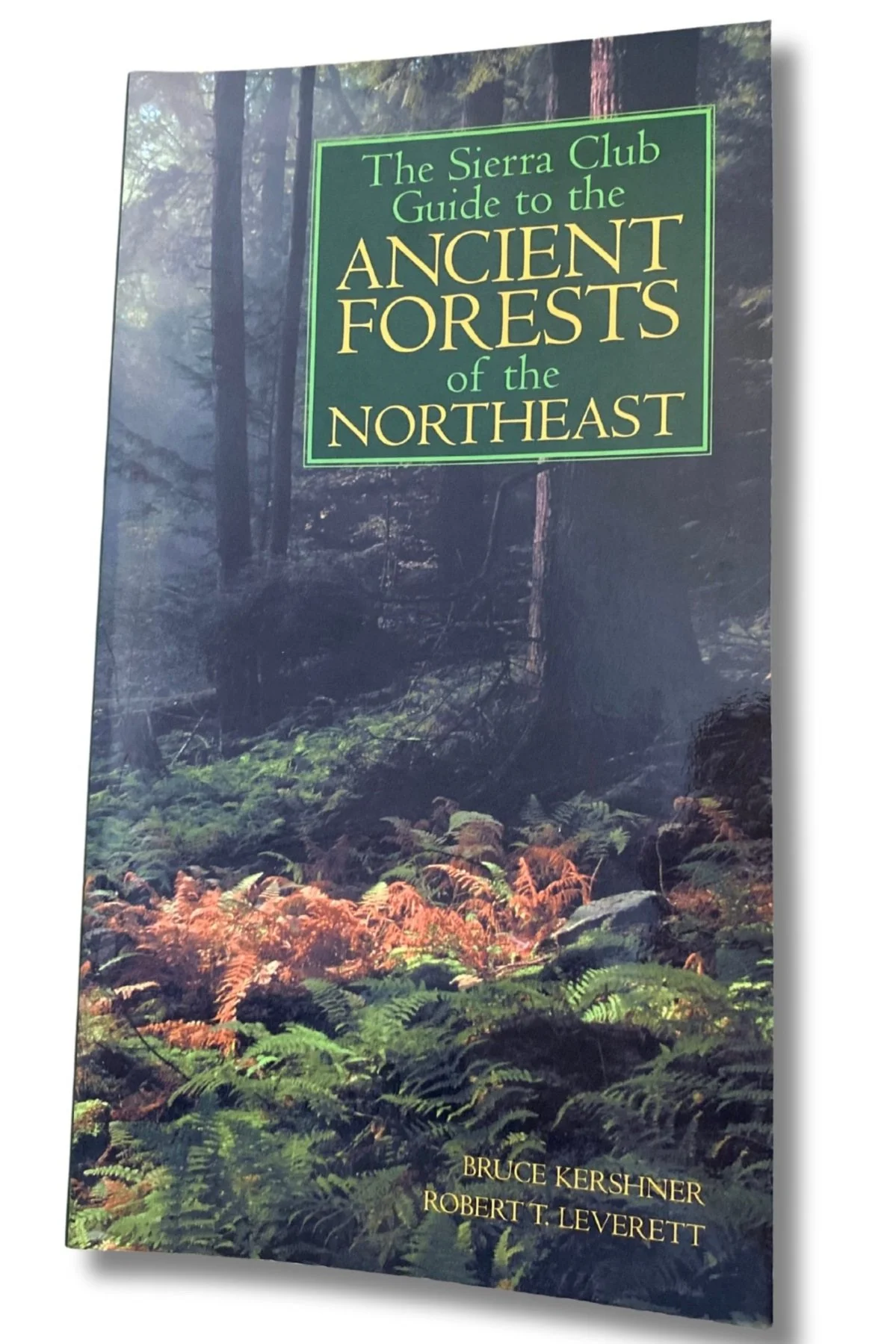 Why I Believe in the Old-Growth Forest Network — Old-Growth Forest Network