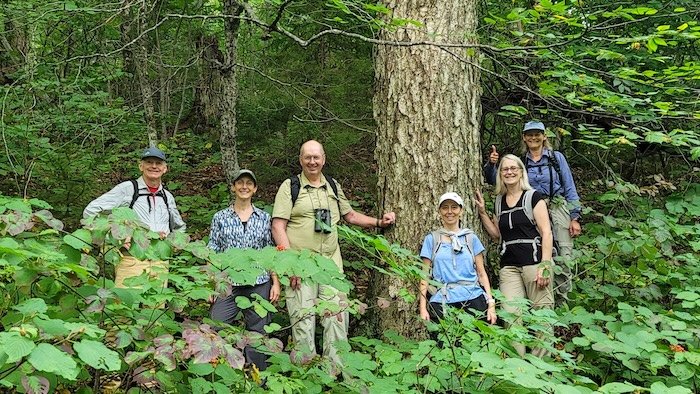 Becoming a County Coordinator — Old-Growth Forest Network