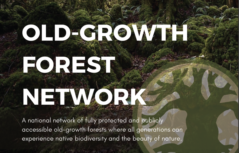 Old-Growth Forest Network