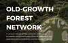 Old-Growth Forest Network