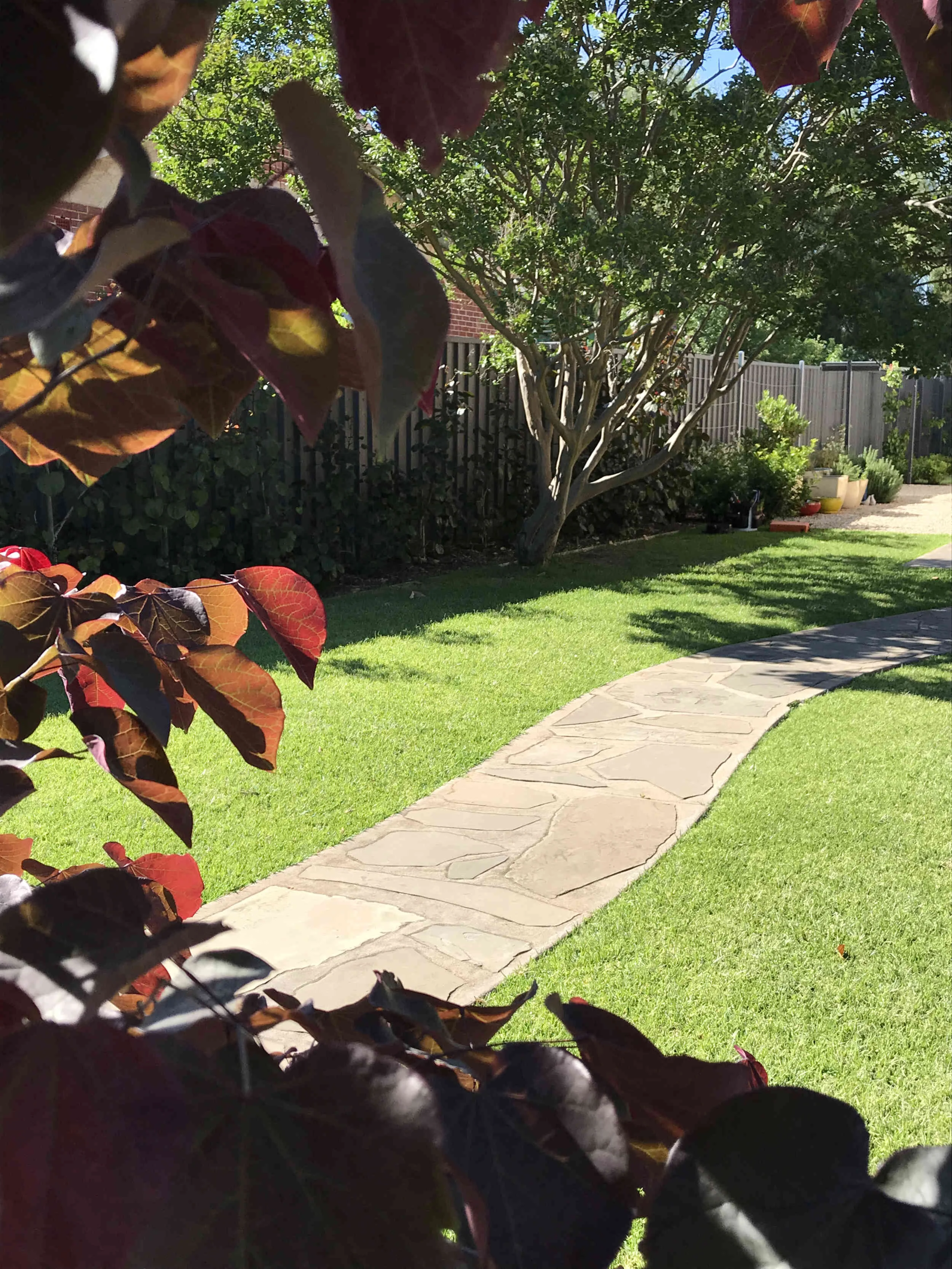 Garden Design Adelaide | Landscape Design Adelaide | Catnik Design Studio