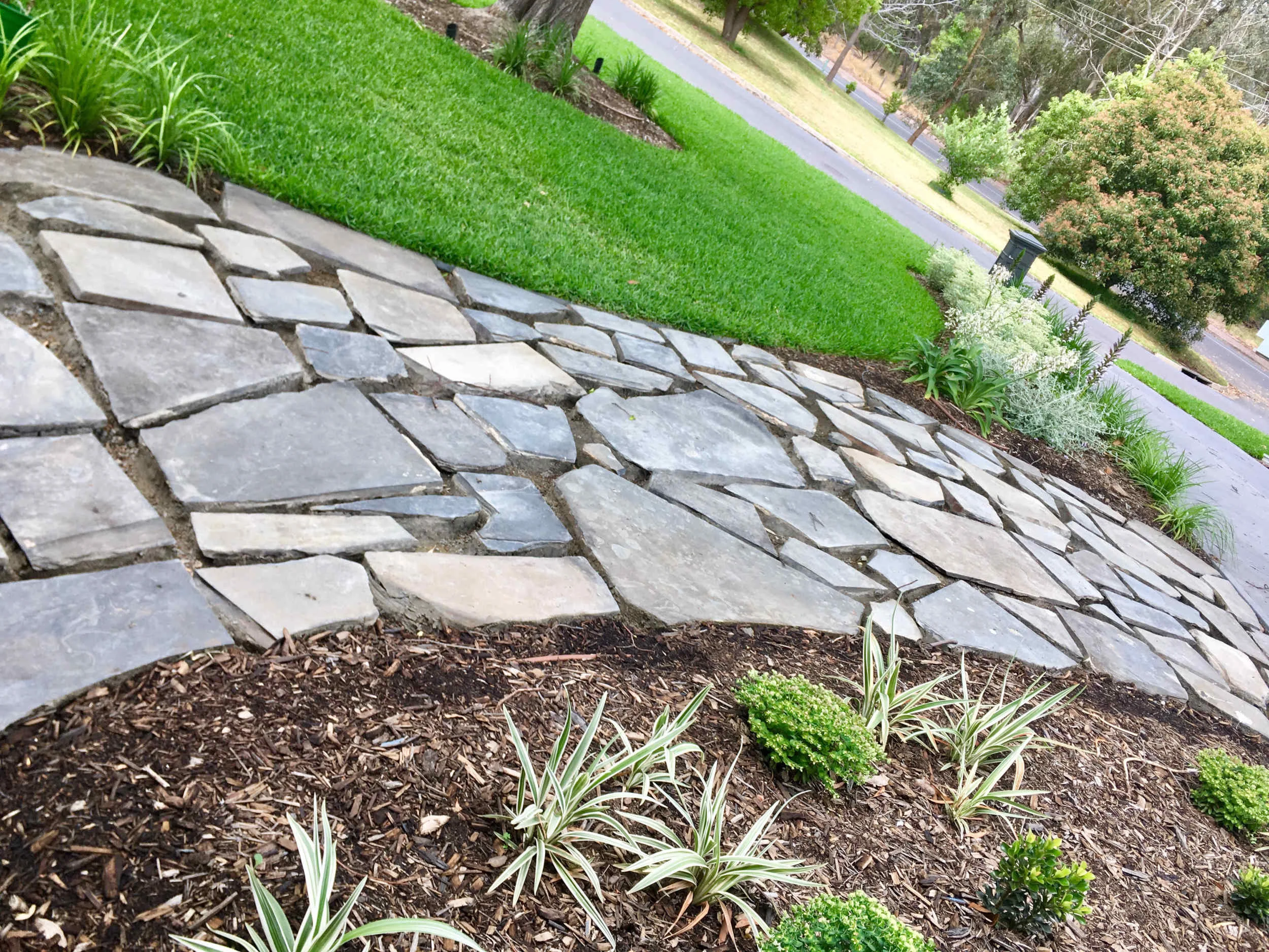 Garden Design Adelaide | Landscape Design Adelaide | Catnik Design Studio